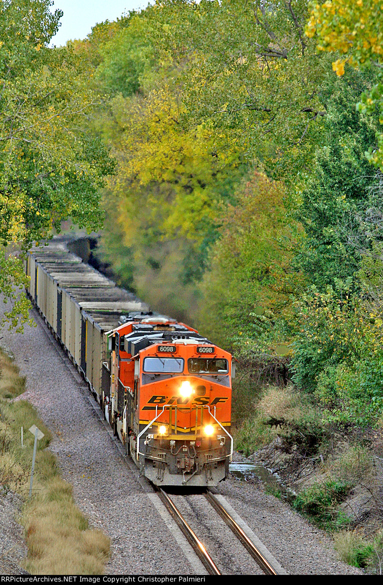 BNSF 6098 Leads E-CGWWTM0-16